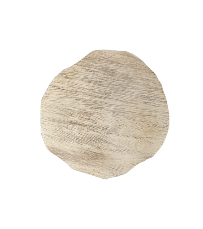 Petrified Wood Coaster White | Cantiq Living